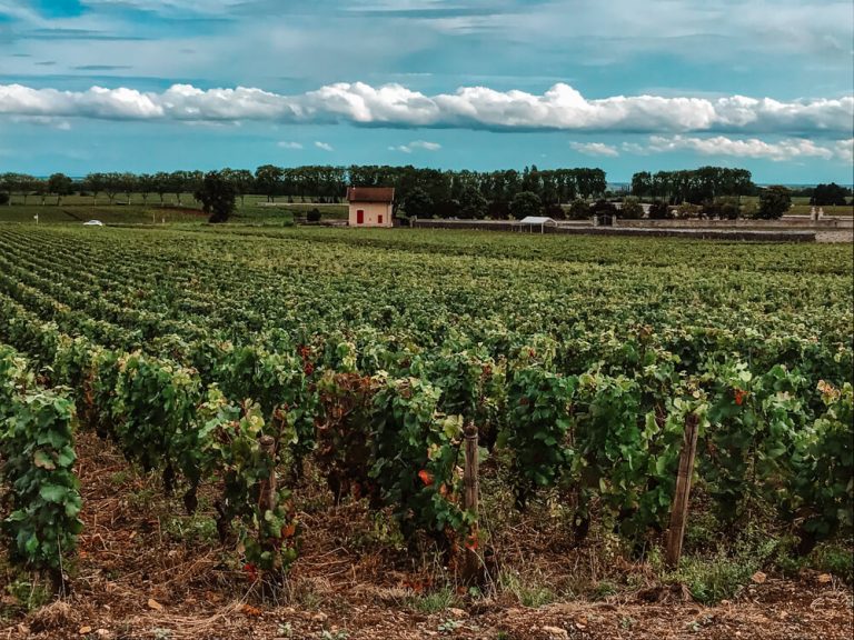 17 Best Things to do in Beaune France - France Voyager