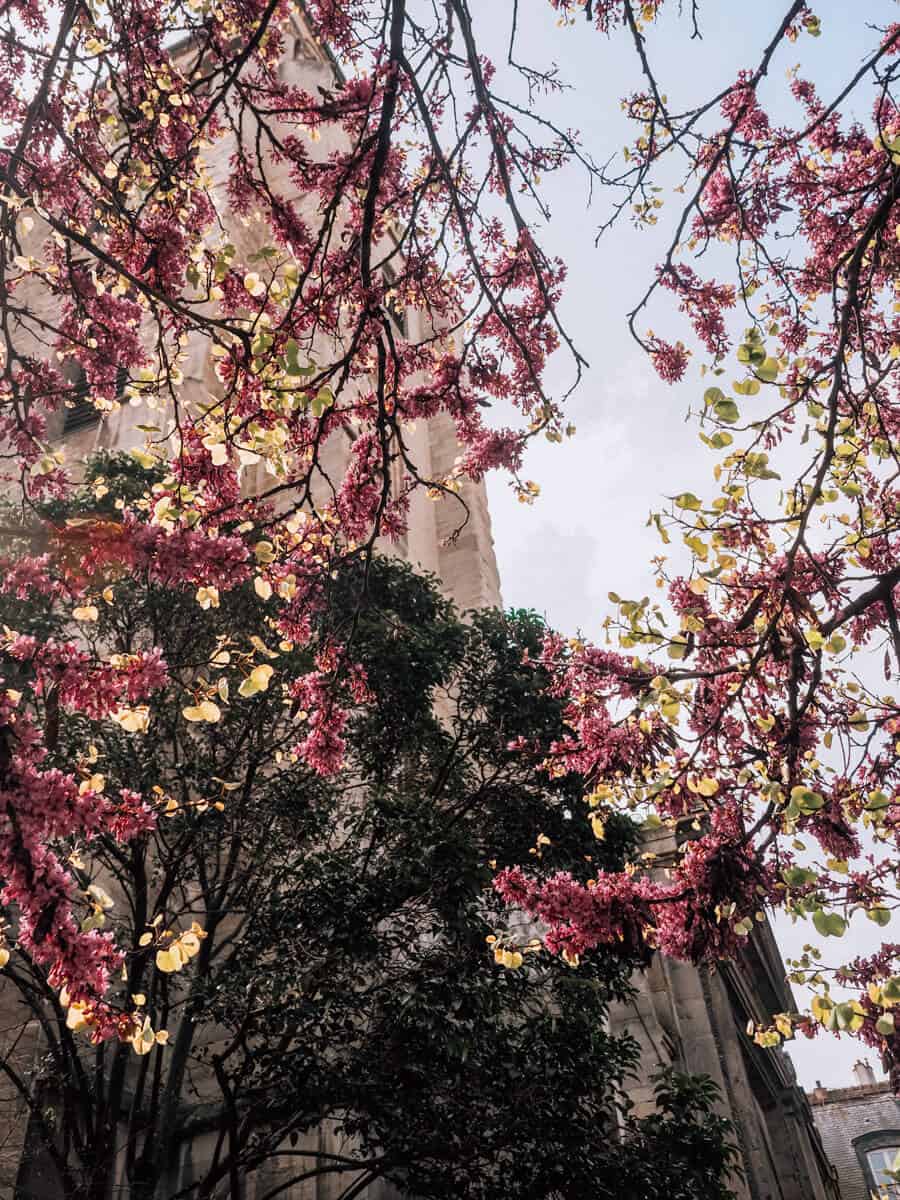 Here is What It’s Really Like to Visit Paris in March - France Voyager
