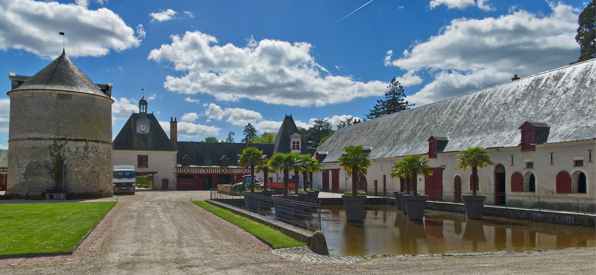 15 Best Chateaux in the Loire Valley, France to Visit - France Voyager