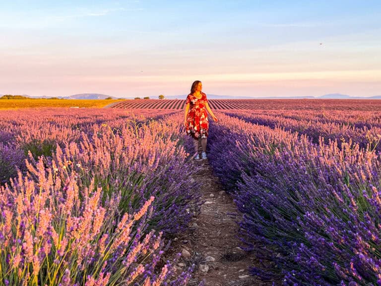 How to Visit the Lavender Fields of Valensole: Full Itinerary, Map ...