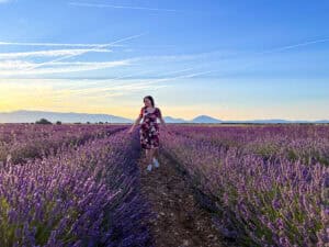 How to Visit the Lavender Fields of Valensole: Full Itinerary, Map ...