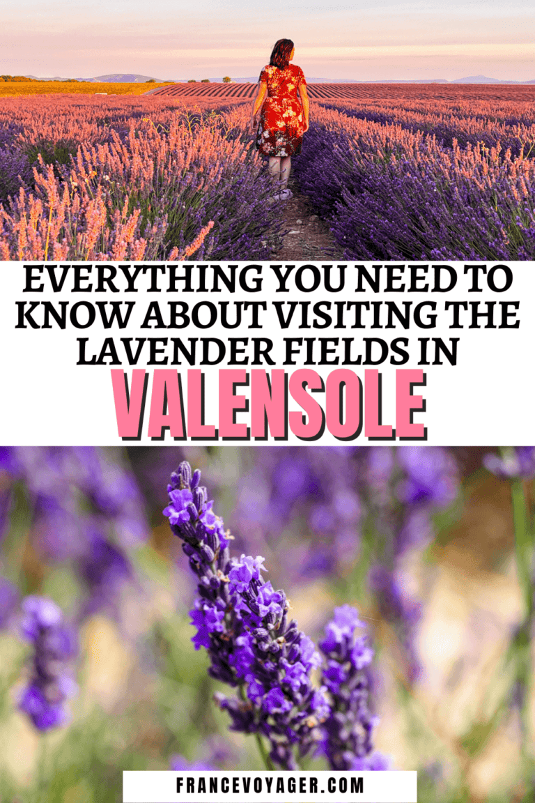 How to Visit the Lavender Fields of Valensole: Full Itinerary, Map ...