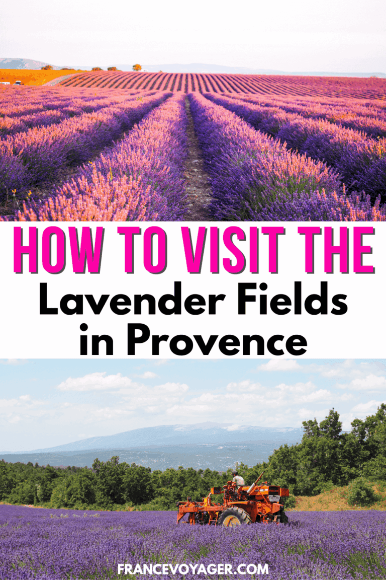 My Honest Guide to Visiting the Lavender Fields in Provence, France ...