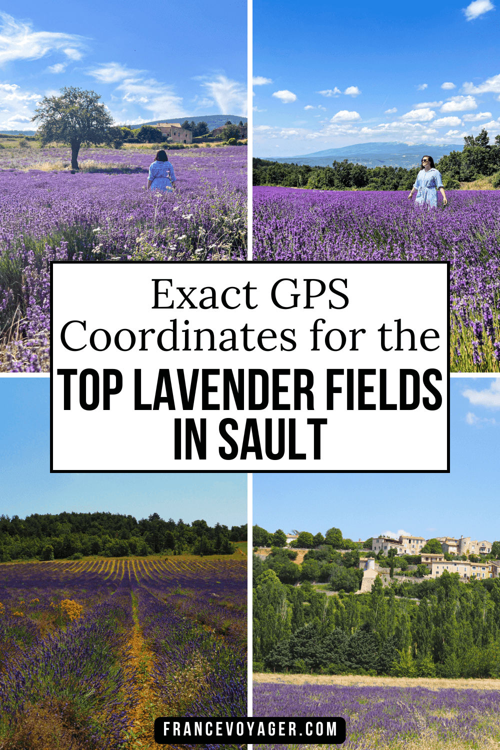 How to Visit the Lavender Fields in Sault: Full Itinerary, Map, & GPS ...