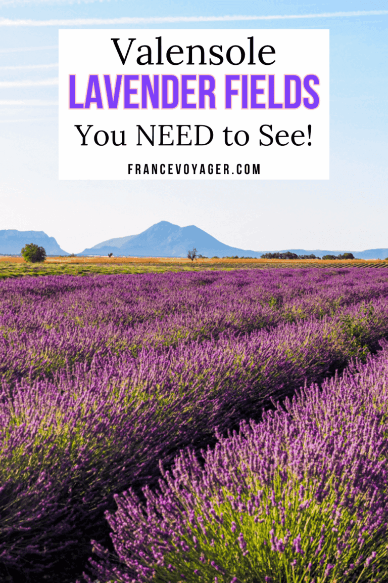 How to Visit the Lavender Fields of Valensole: Full Itinerary, Map ...